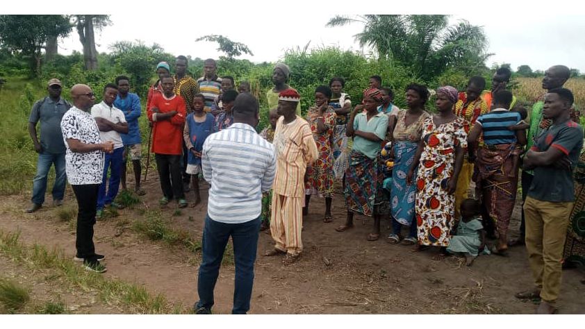 ICESCO Launches a Programme to Plant 500,000 Trees in Togo - ICESCO
